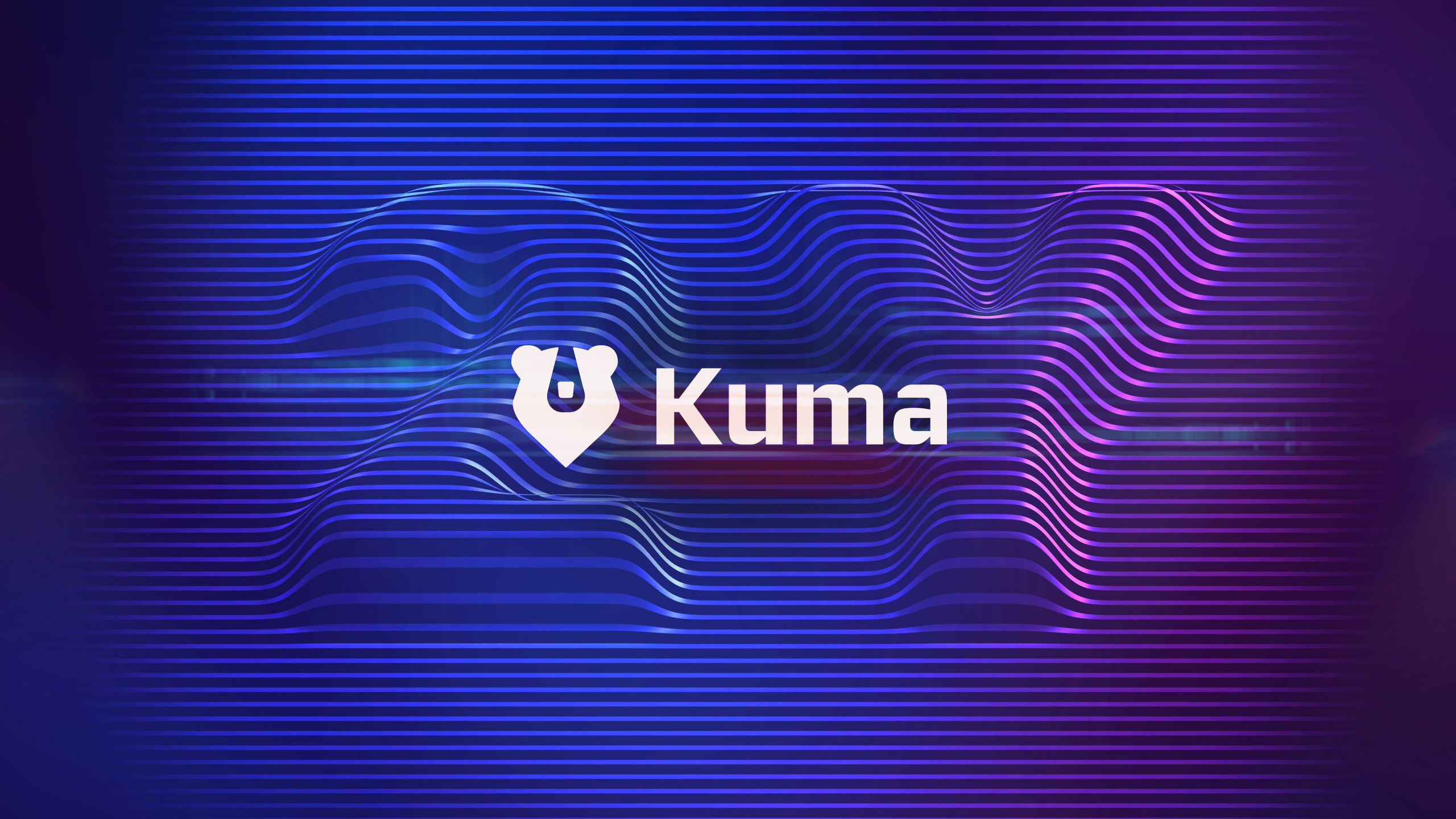 Happy 2nd Anniversary, Kuma! | Kong Inc.