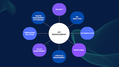 What is API Management (APIM) - Concepts and Use Cases | Kong Inc.