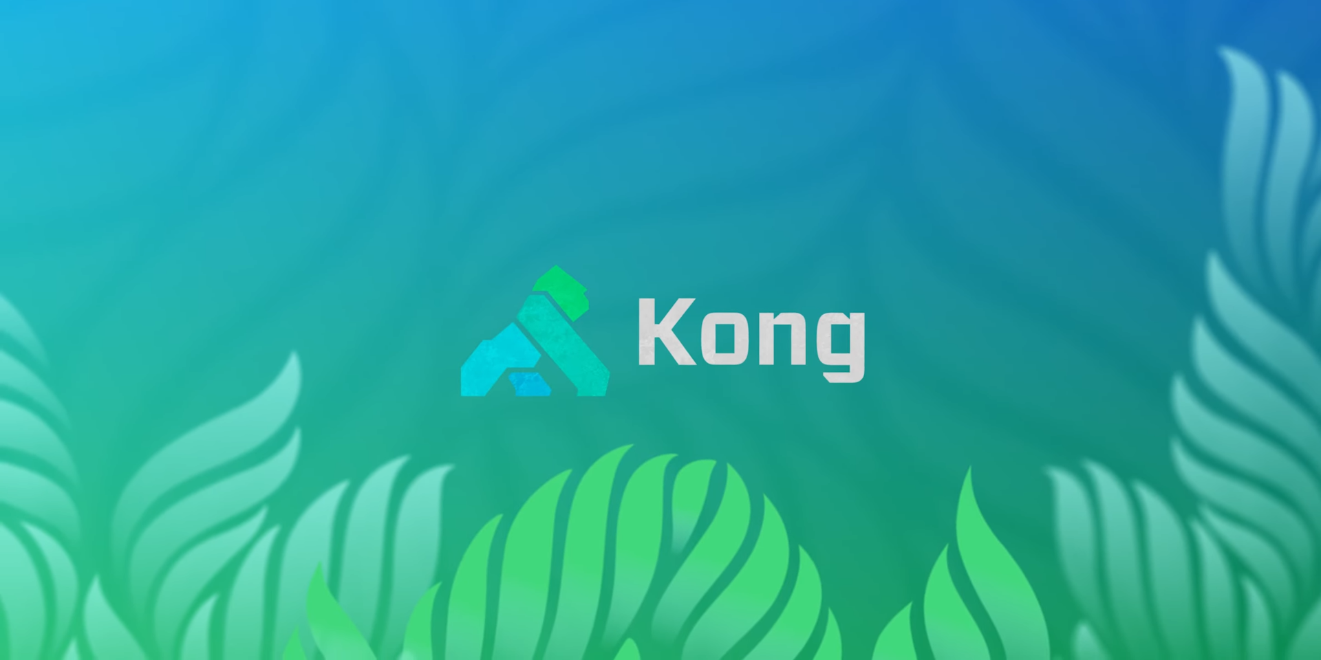 Kong Konnect: A Developer’s Guide | Kong Inc.